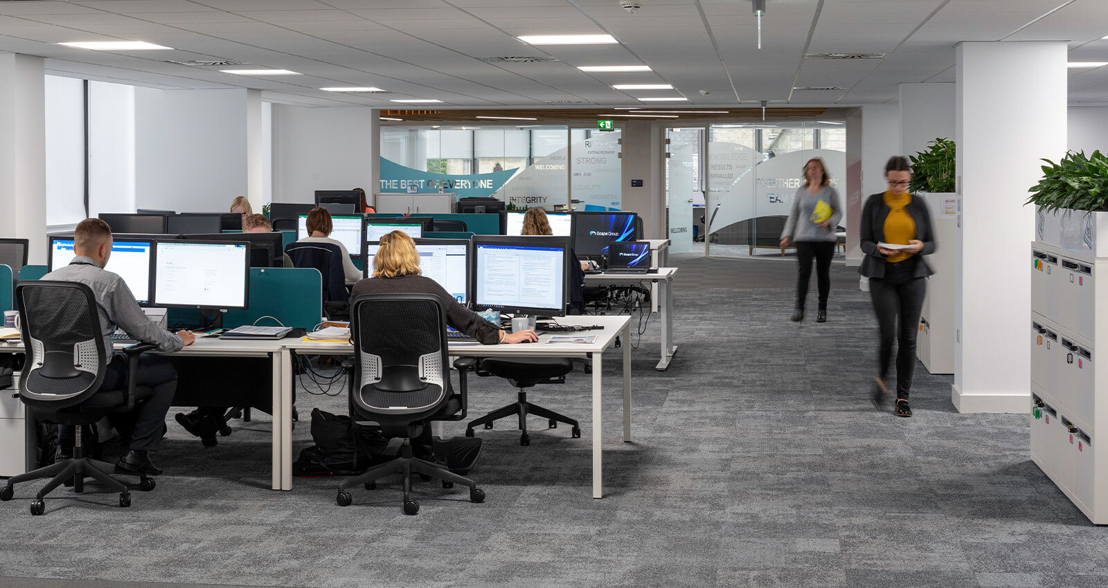 Lungfish | SCAPE Headquarters