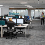 Lungfish | SCAPE Headquarters