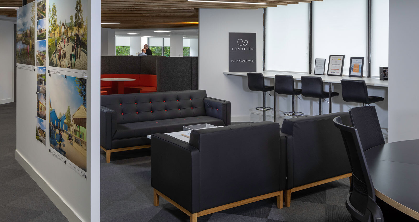 Lungfish | SCAPE Headquarters