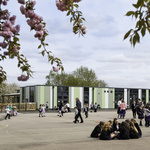 Lungfish | Riseley Primary School