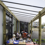 Lungfish | Riseley Primary School