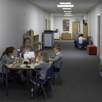 Lungfish | Riseley Primary School