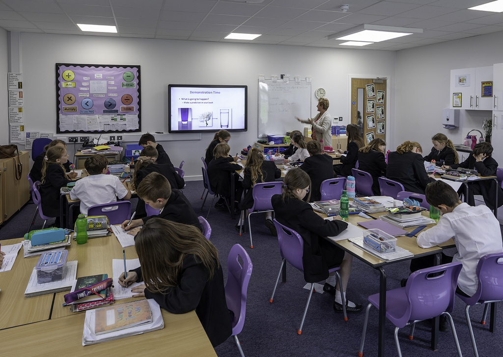 Lungfish | Riseley Primary School