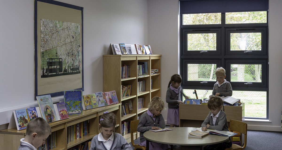 Lungfish | Riseley Primary School