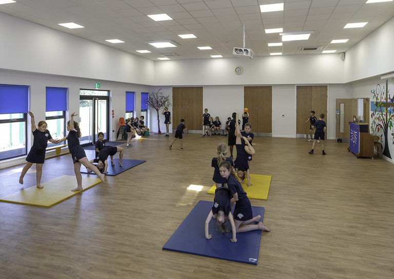 Lungfish | Bromham C of E Primary School