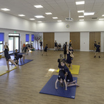 Lungfish | Bromham C of E Primary School
