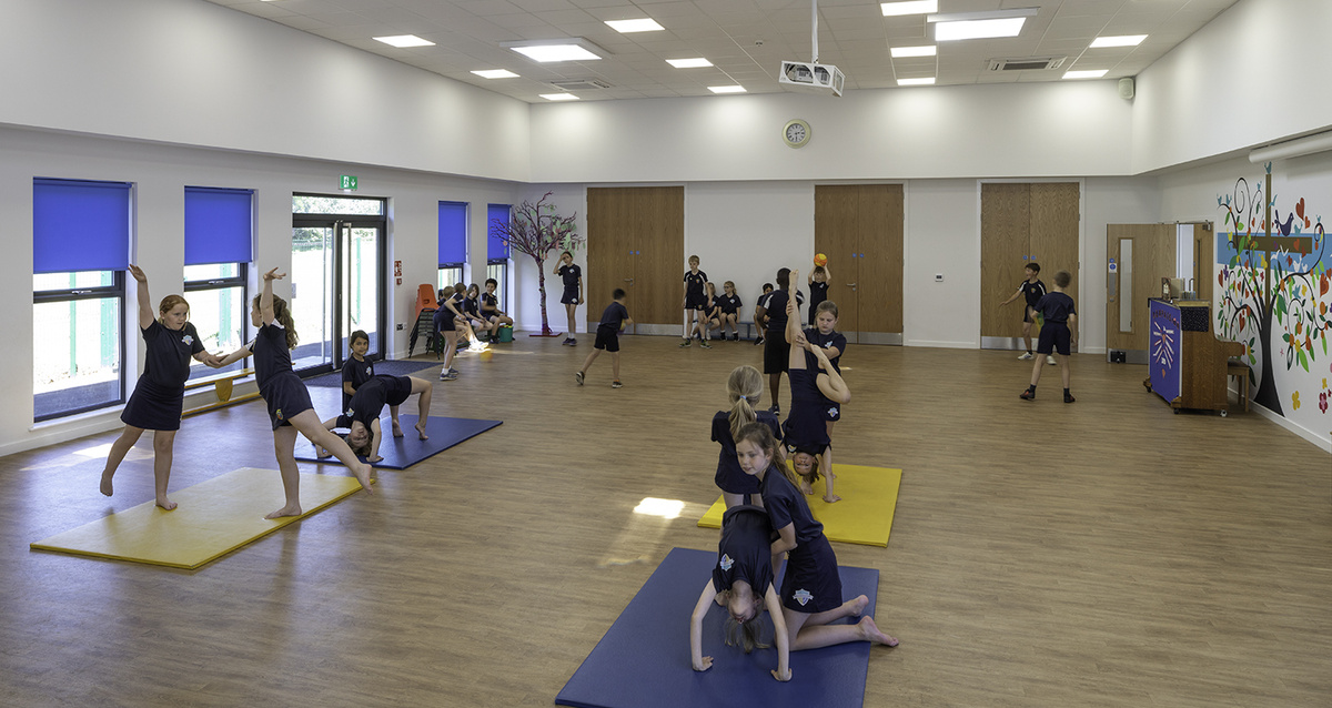 Lungfish | Bromham C of E Primary School