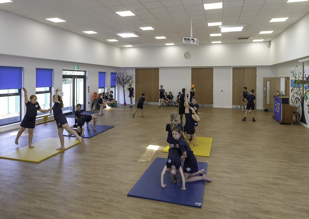 Lungfish | Bromham C of E Primary School