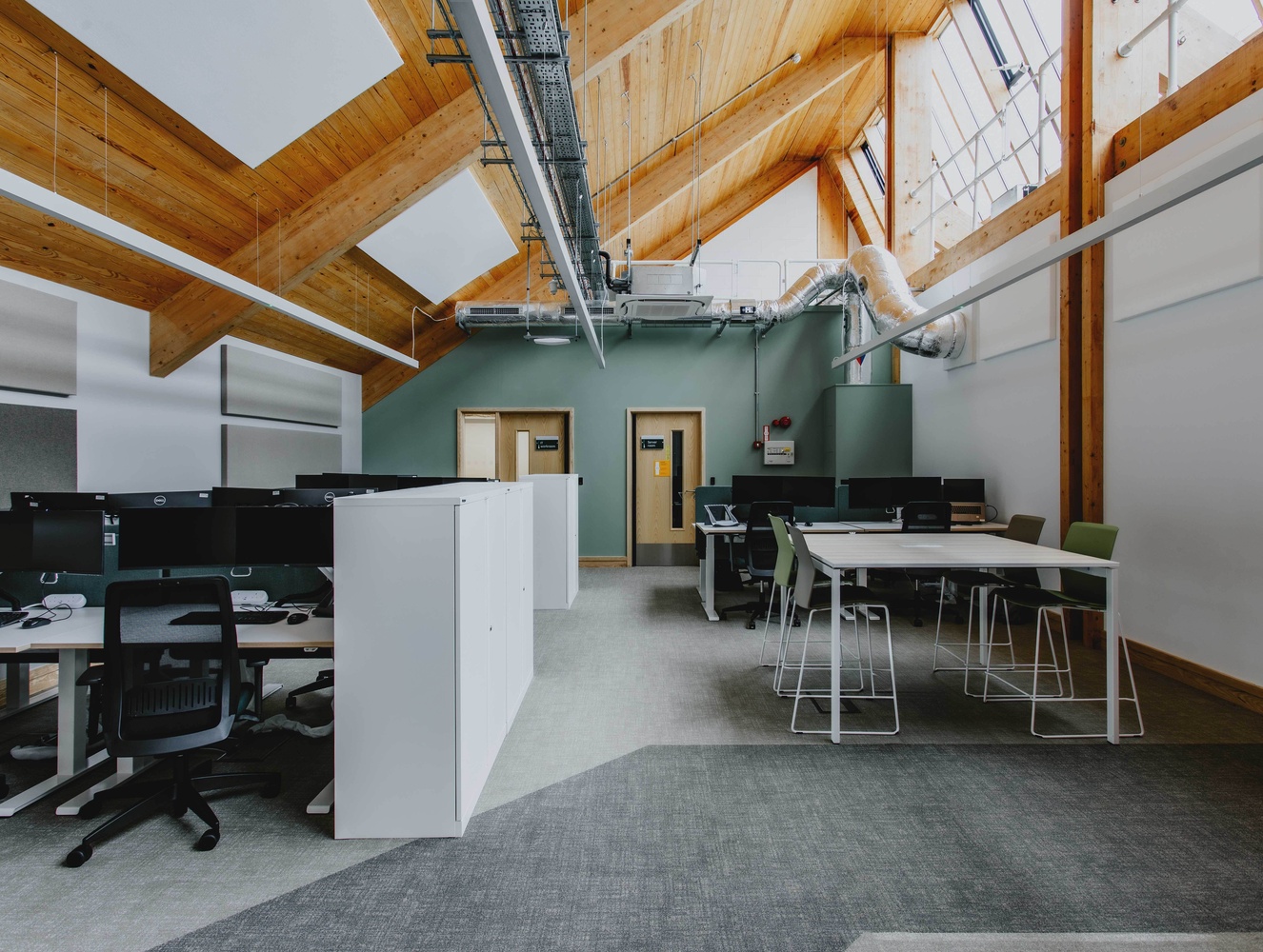 Lungfish | Commercial