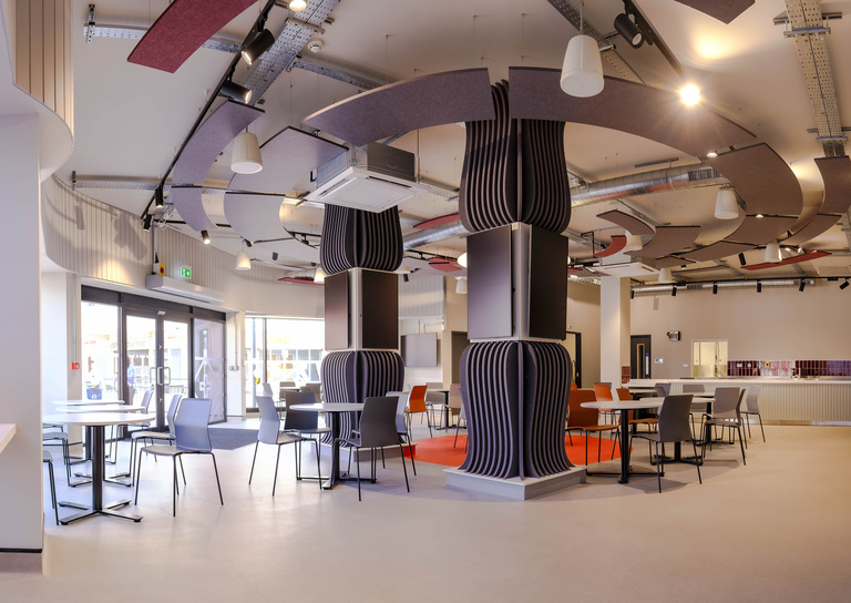 Lungfish | The Bridge Fusion Energy Café