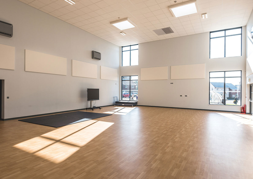 Lungfish | Hackwood Primary Academy