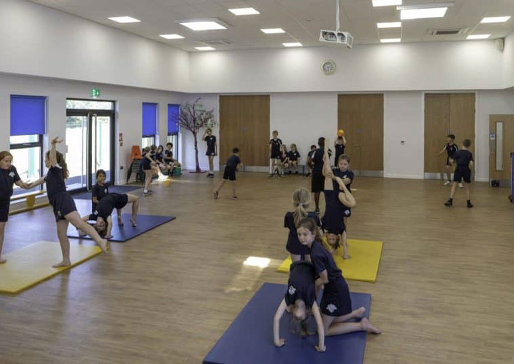 Lungfish | It’s time to make offsite mainstream